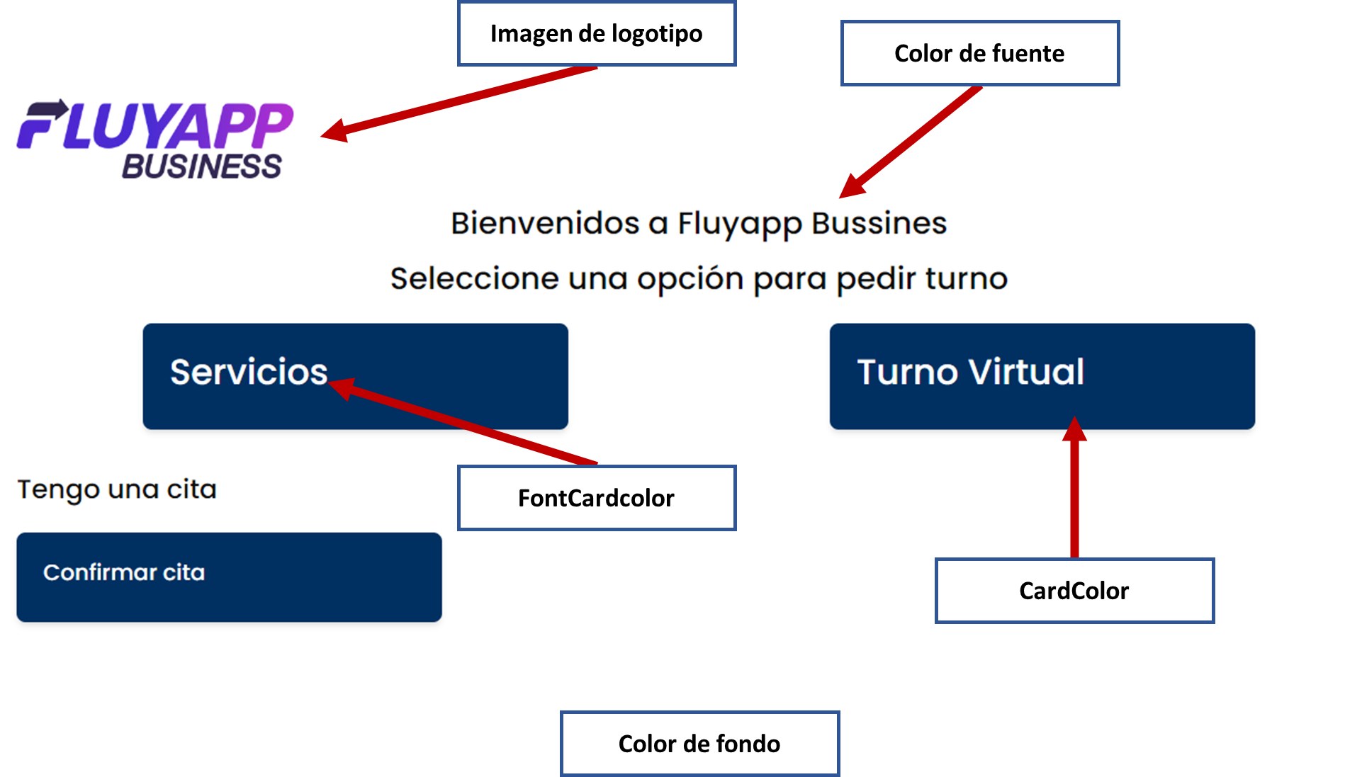 Entidades - Fluyapp Business
